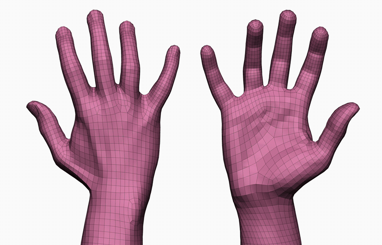 3d Hand Mesh